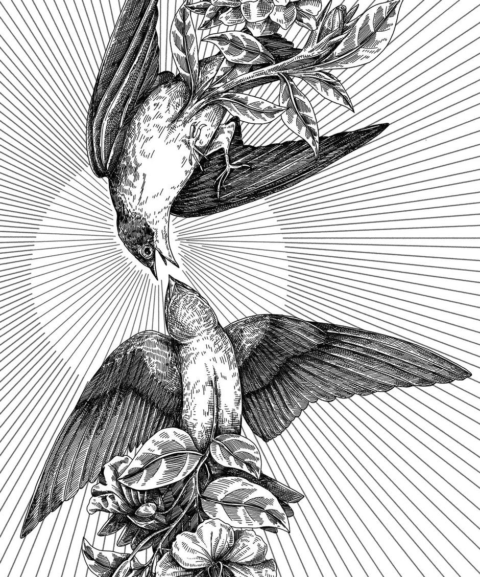 Limited Edition Art Prints, T-Shirt, Tote Bags. – Alfred Basha