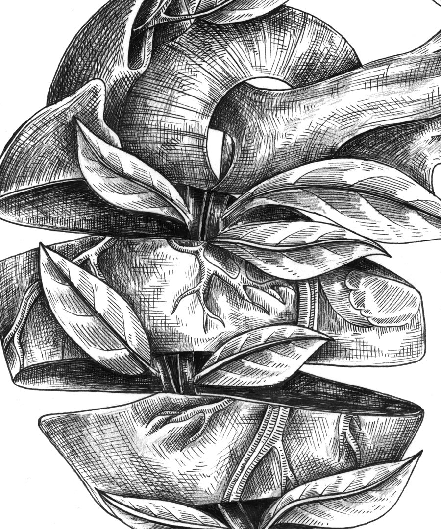 Limited Edition Art Prints, T-Shirt, Tote Bags. – Alfred Basha