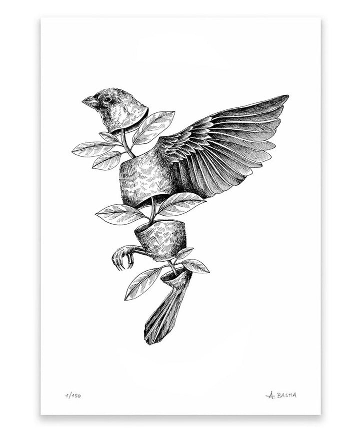 Limited Edition Prints – Alfred Basha