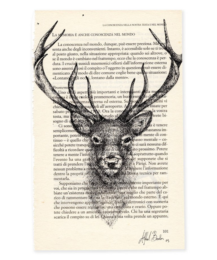 Original Art – Alfred Basha