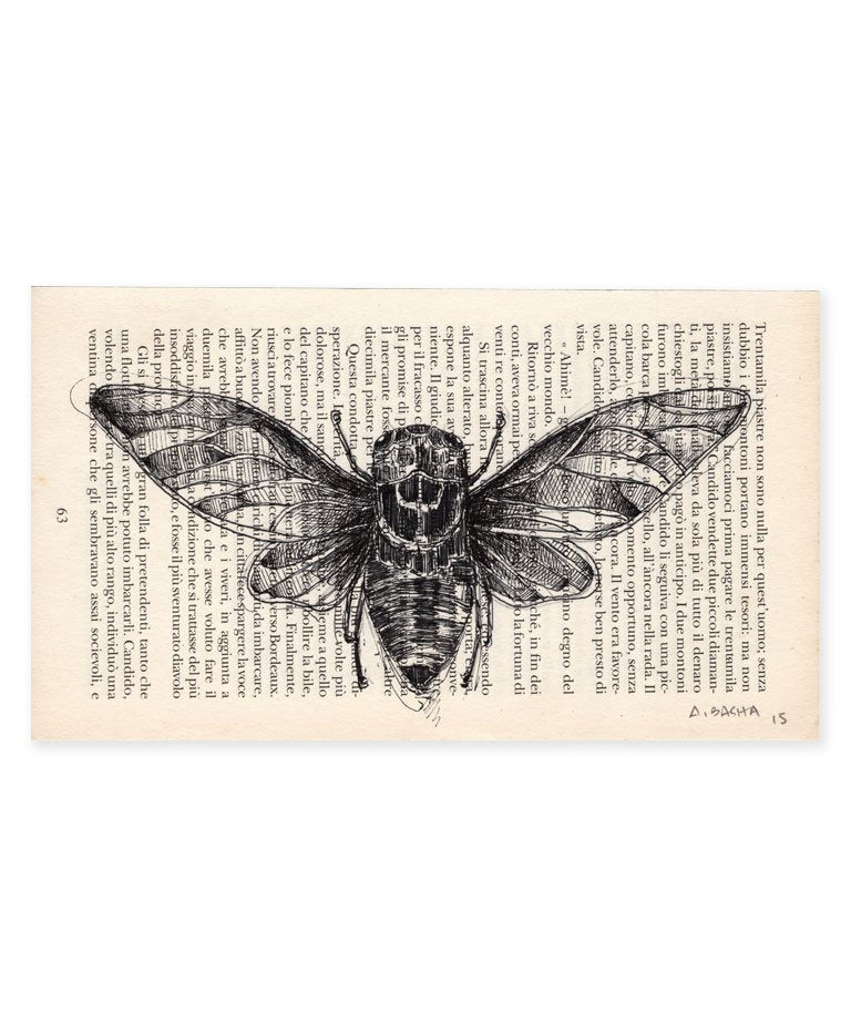 Original Art – Alfred Basha