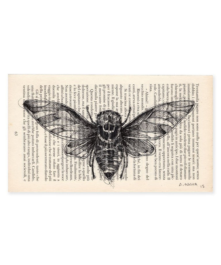 Original Art – Alfred Basha