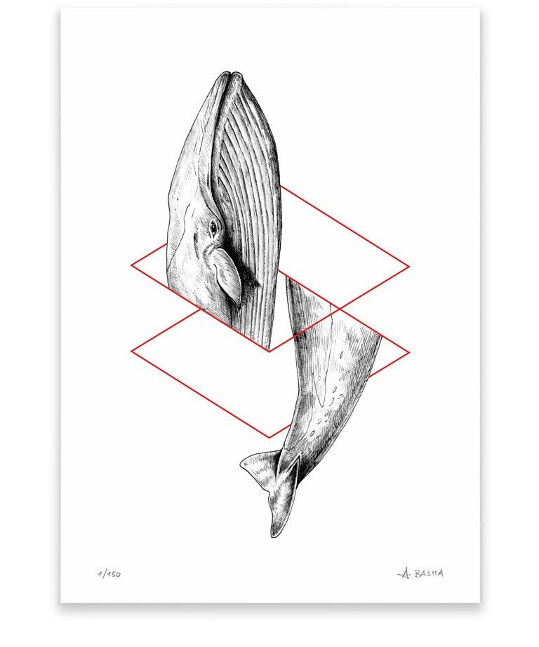 Kunstdruck aus der Geometrie-Serie „Wal“. – Alfred Basha