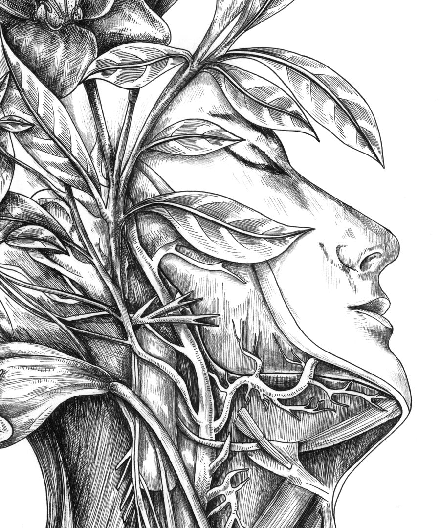 Limited Edition Prints – Alfred Basha