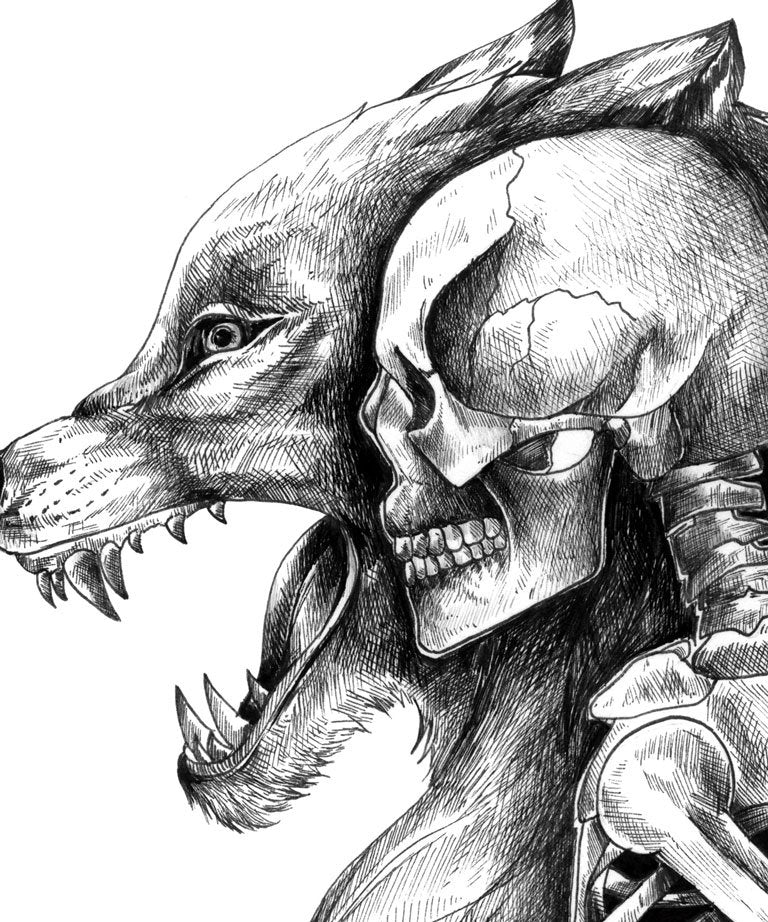 Human Soul – Alfred Basha