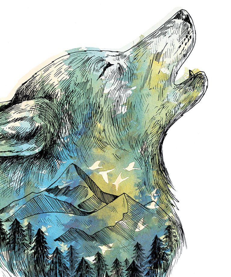 Limited Edition Prints – Alfred Basha