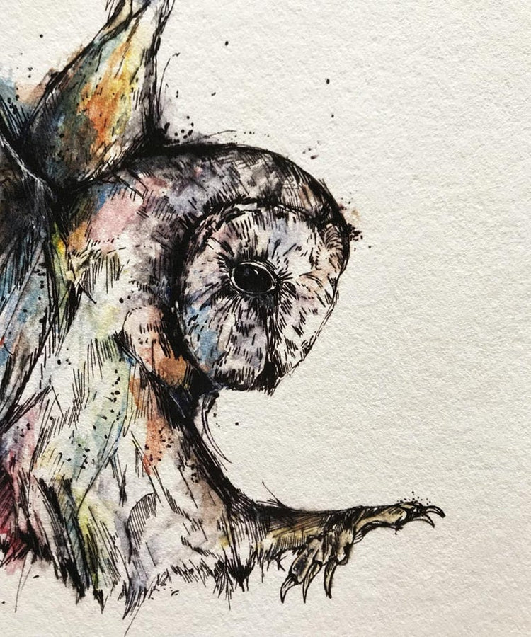 "Barn owl" art print – Alfred Basha