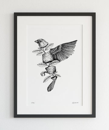 Limited Edition Prints – Alfred Basha